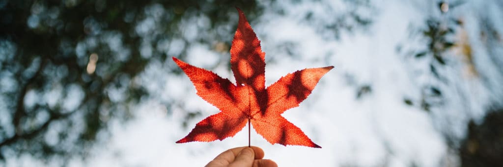 State of Canada's Tech Sector - BC Tech Association